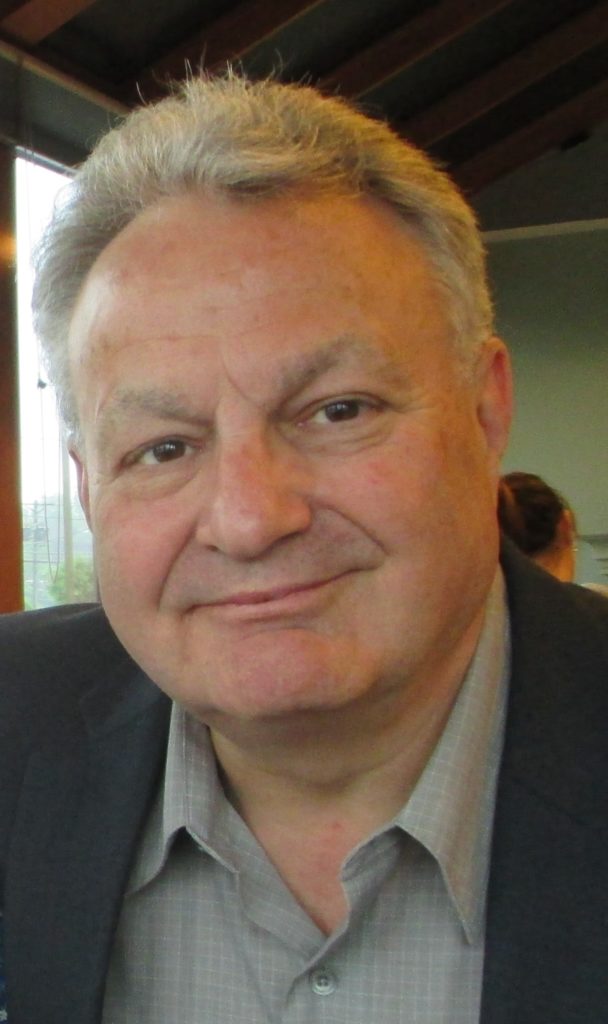 Understanding the Origins of Pan-Islamism during World War I - Foreign ...