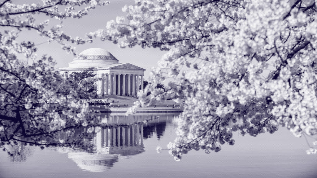 Announcing the Samuel J. Savitz Memorial Lecture on Cultural Diplomacy ...