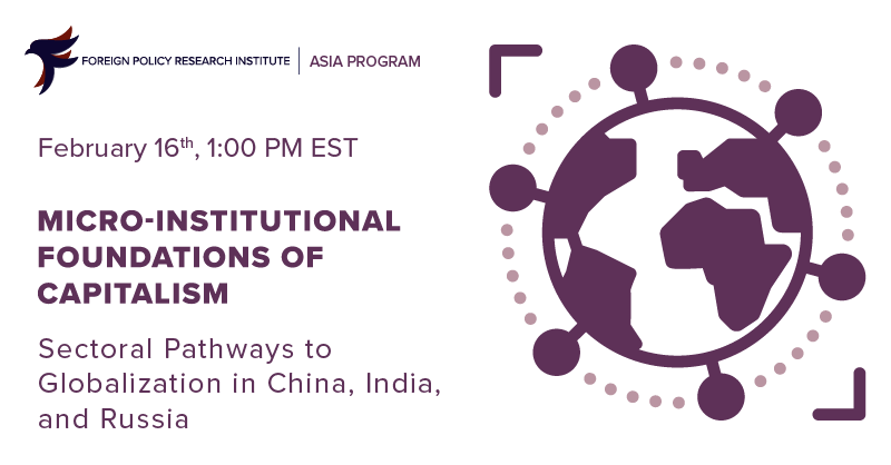 Micro-Institutional Foundations of Capitalism: Sectoral Pathways to ...