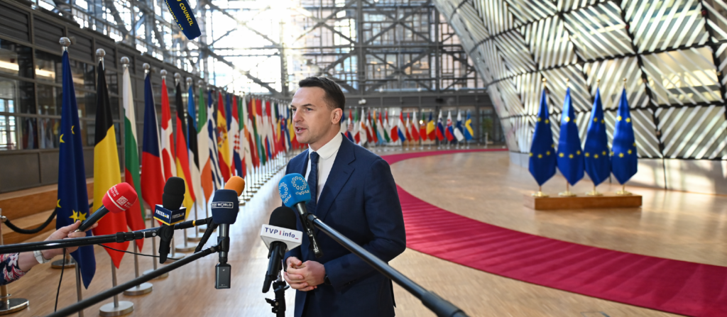 Big Opportunity and Big Responsibility: The Polish Presidency of the ...